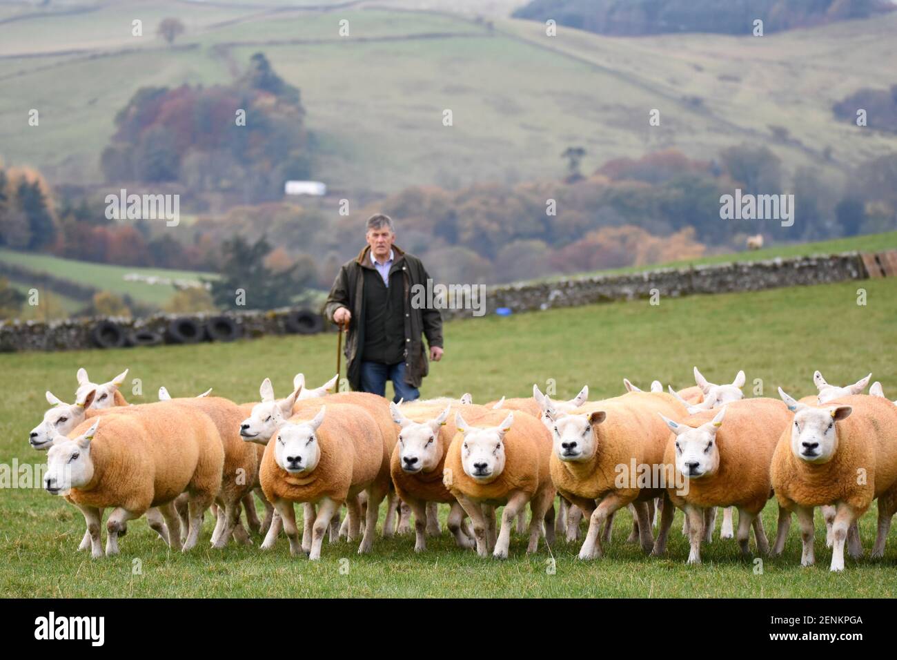 Upland farmer hi-res stock photography and images - Alamy