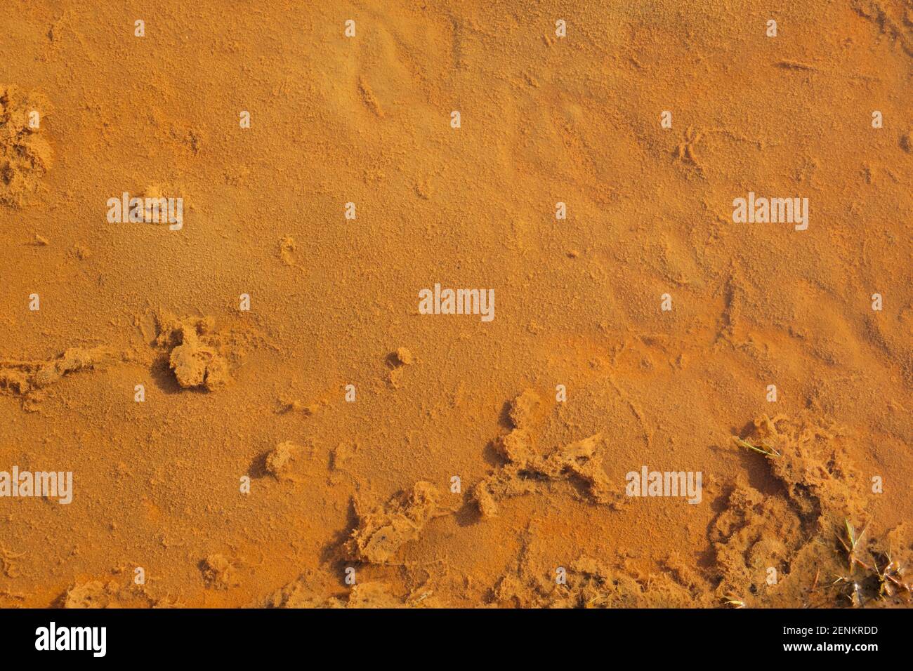 Bog iron hi-res stock photography and images - Alamy