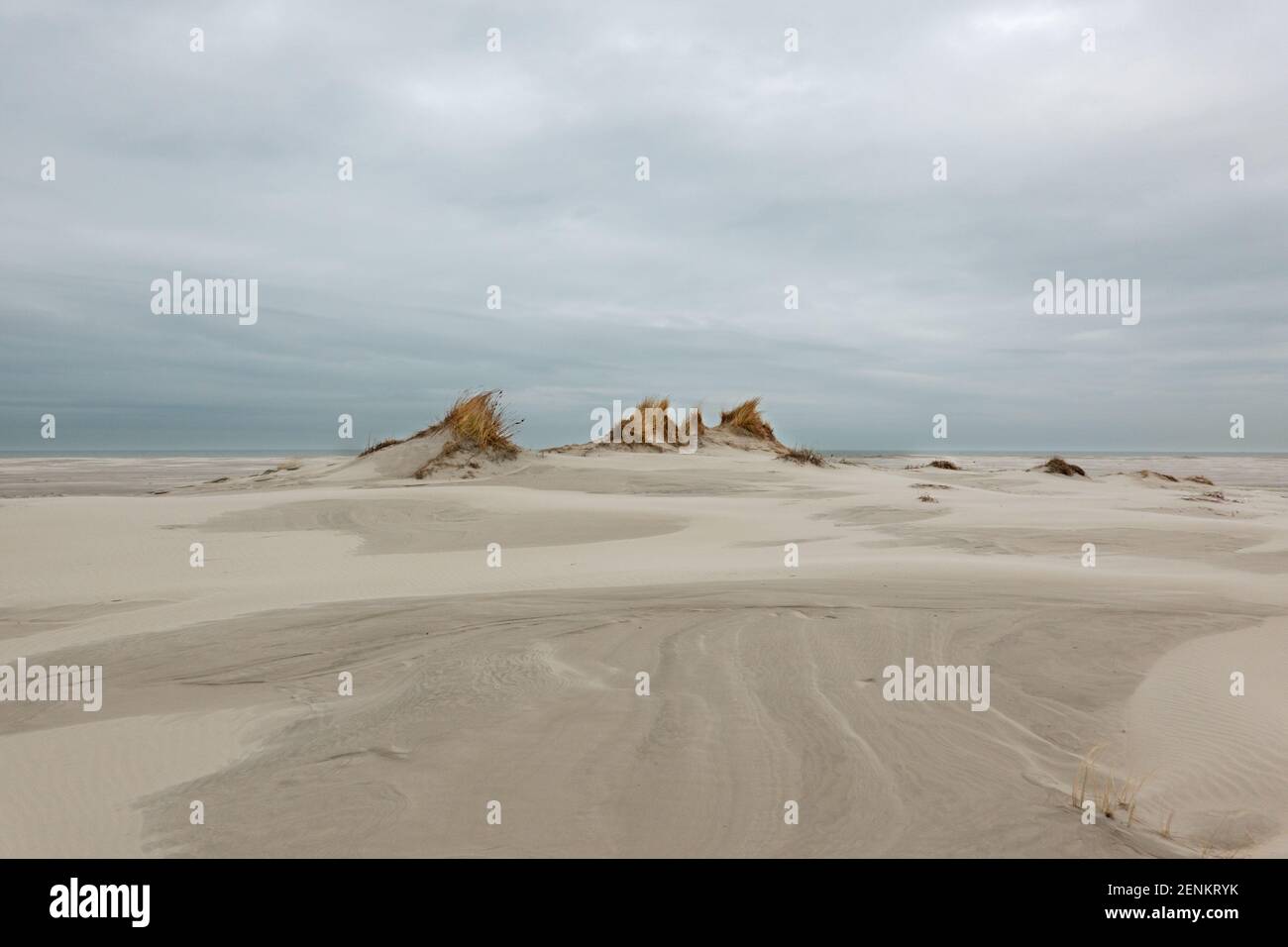 Grey dunes hi-res stock photography and images - Alamy
