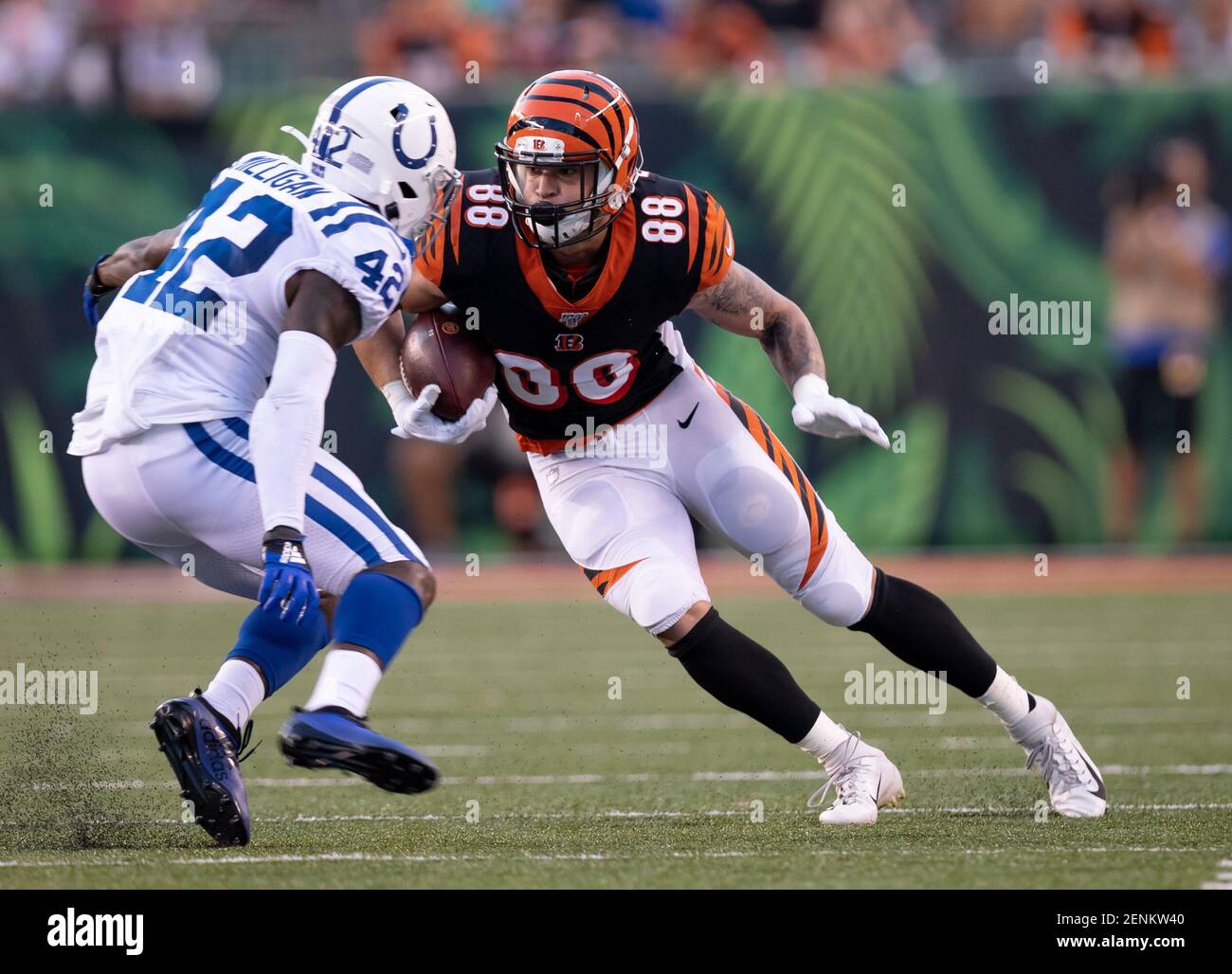 Cincinnati Bengals tight end Jordan Franks (88) during NFL football ...