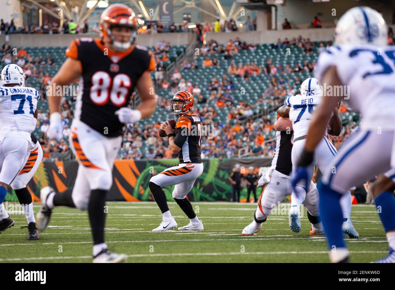 Cincinnati Bengals quarterback Jake Dolegala (7) during NFL football preseason game action ...