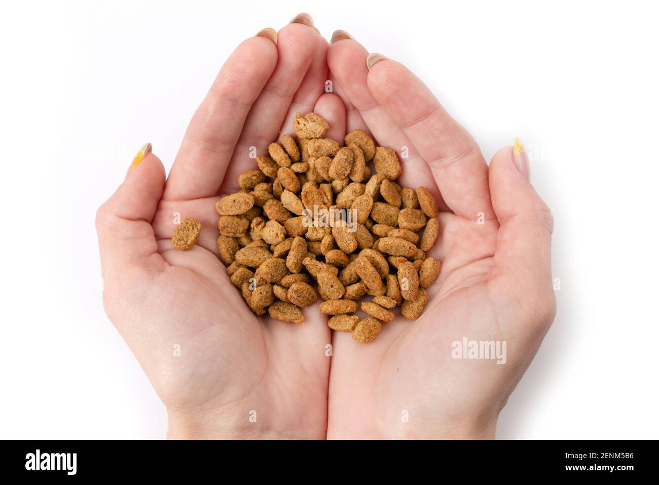 dry pet food in woman hands isolated on white background Stock Photo ...