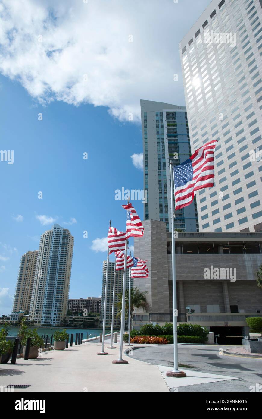 The row of flags on a windy day along Miami downtown waterfront ...