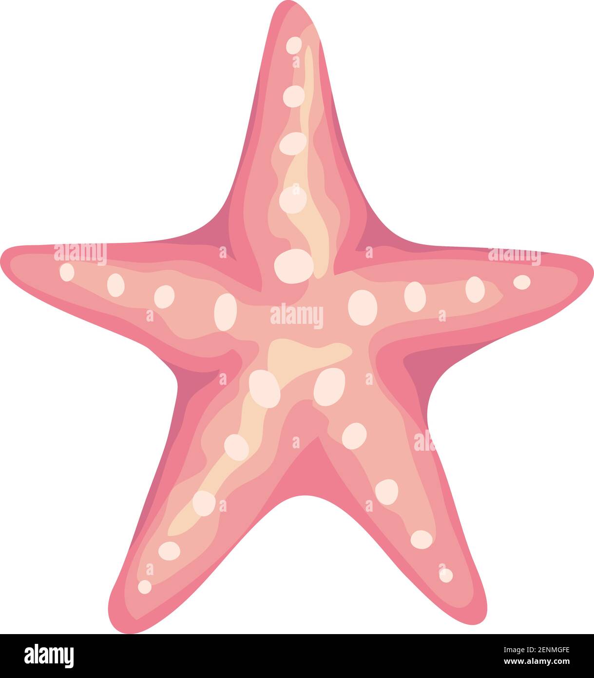 Pink seashells Stock Vector Images - Alamy