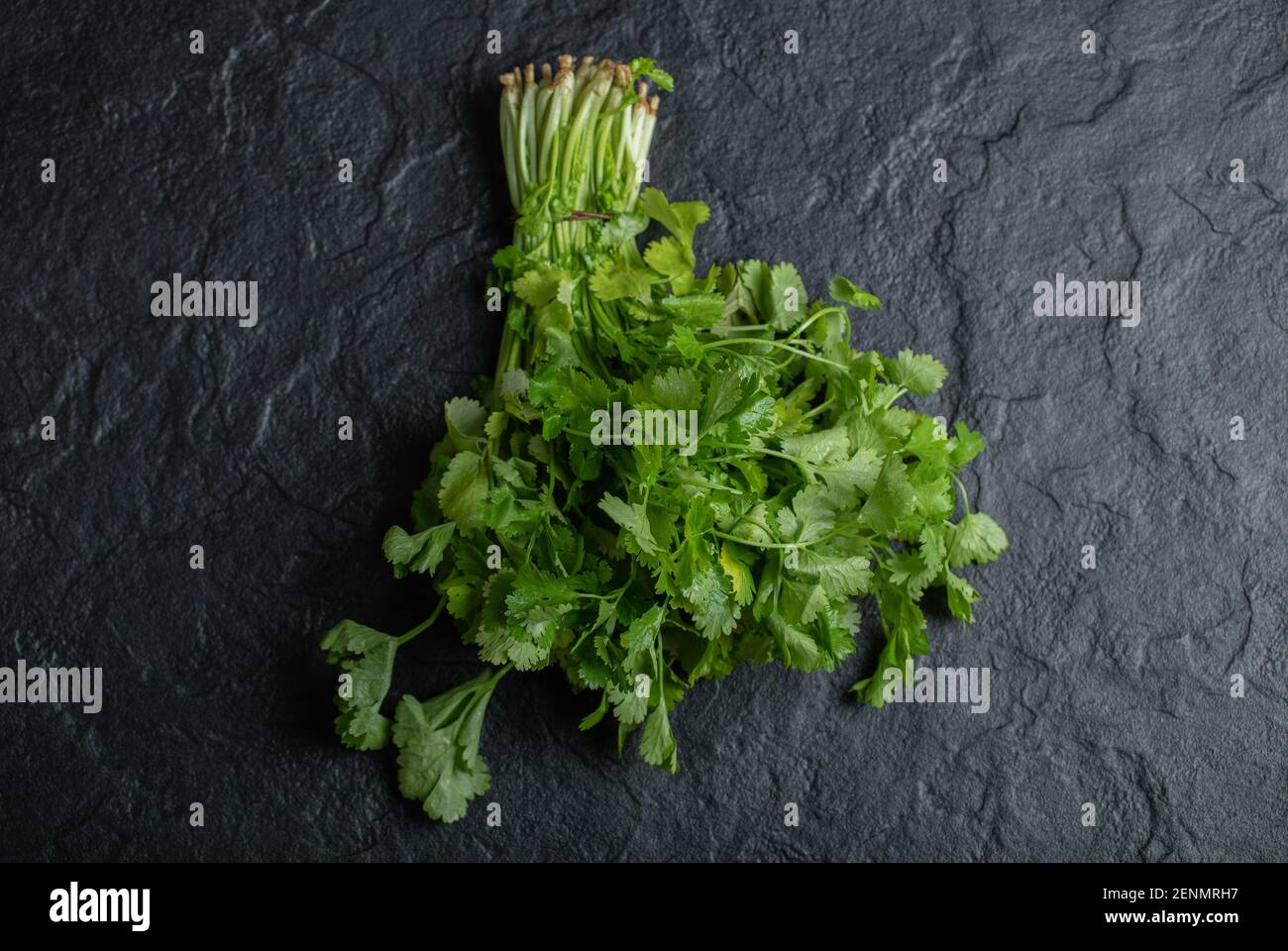 Top view of Branch of fresh coriander on black background Stock Photo ...
