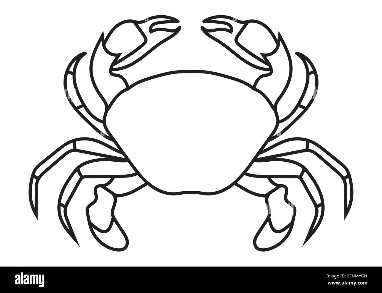 Crab Line Drawing