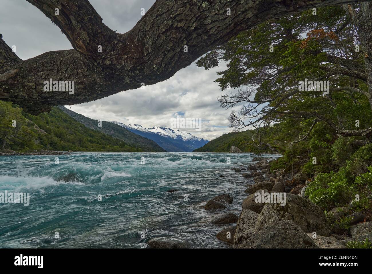 Rio baker hi-res stock photography and images - Alamy