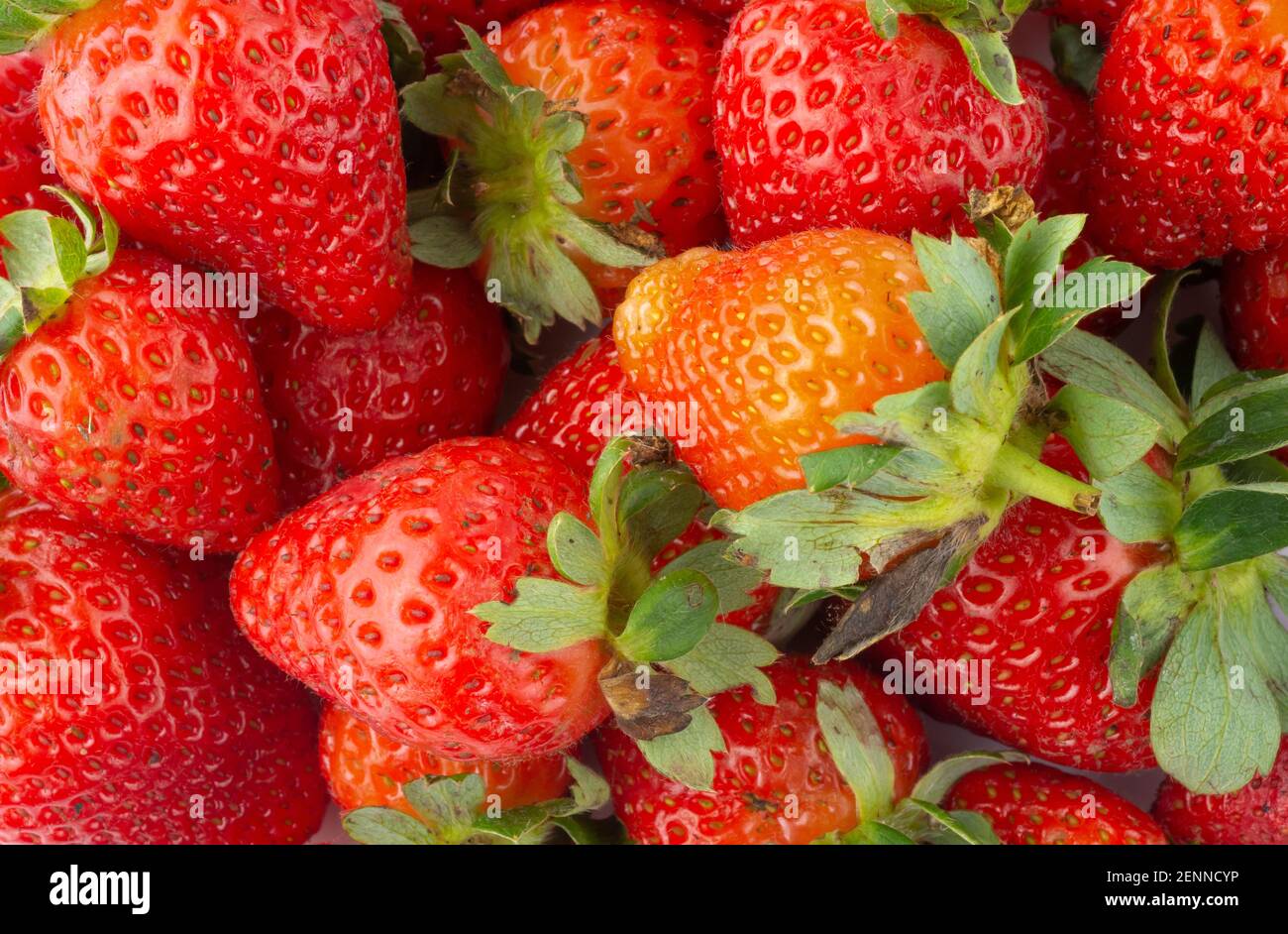Top view closeup of a group of strawberries Stock Photo - Alamy