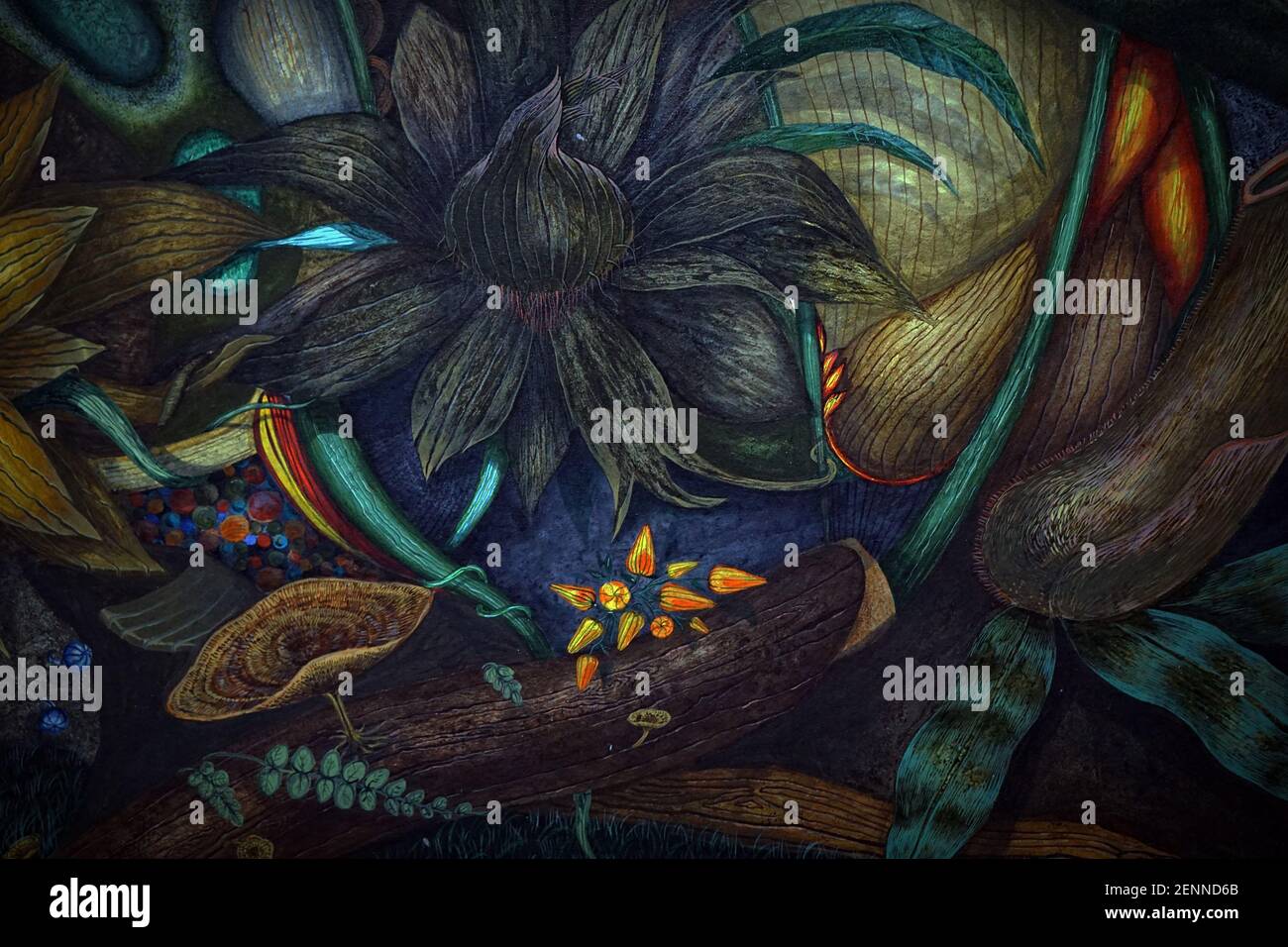 Color of nature hi-res stock photography and images - Alamy