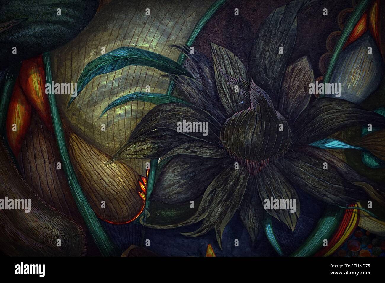 Color of nature hi-res stock photography and images - Alamy