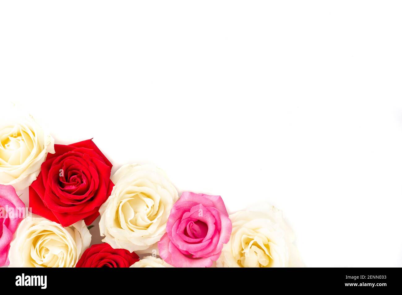 Group of red, white and pink roses over white background with room for ...