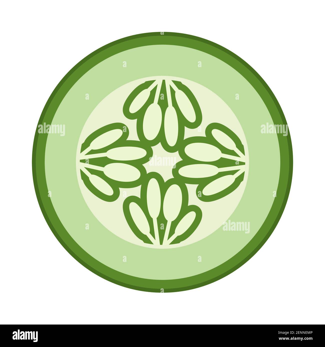 Flat vector color icon cucumber slice or gherkin with seeds for apps ...