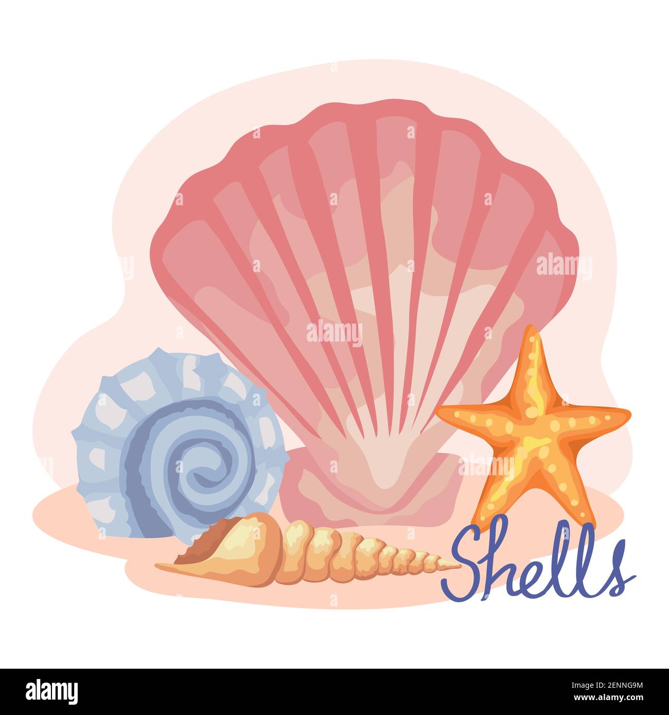 Mollusks sea shells mollusks Stock Vector Images - Alamy