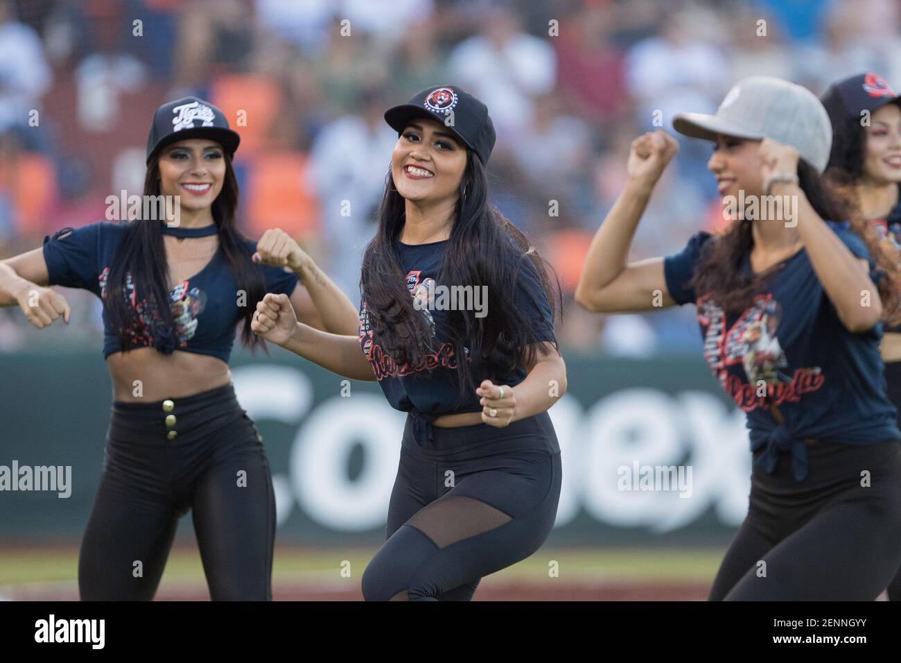 CANCUN, MEXICO - SEPTEMBER 8: Cheerleaders ofTigres de Quintana Roo ...