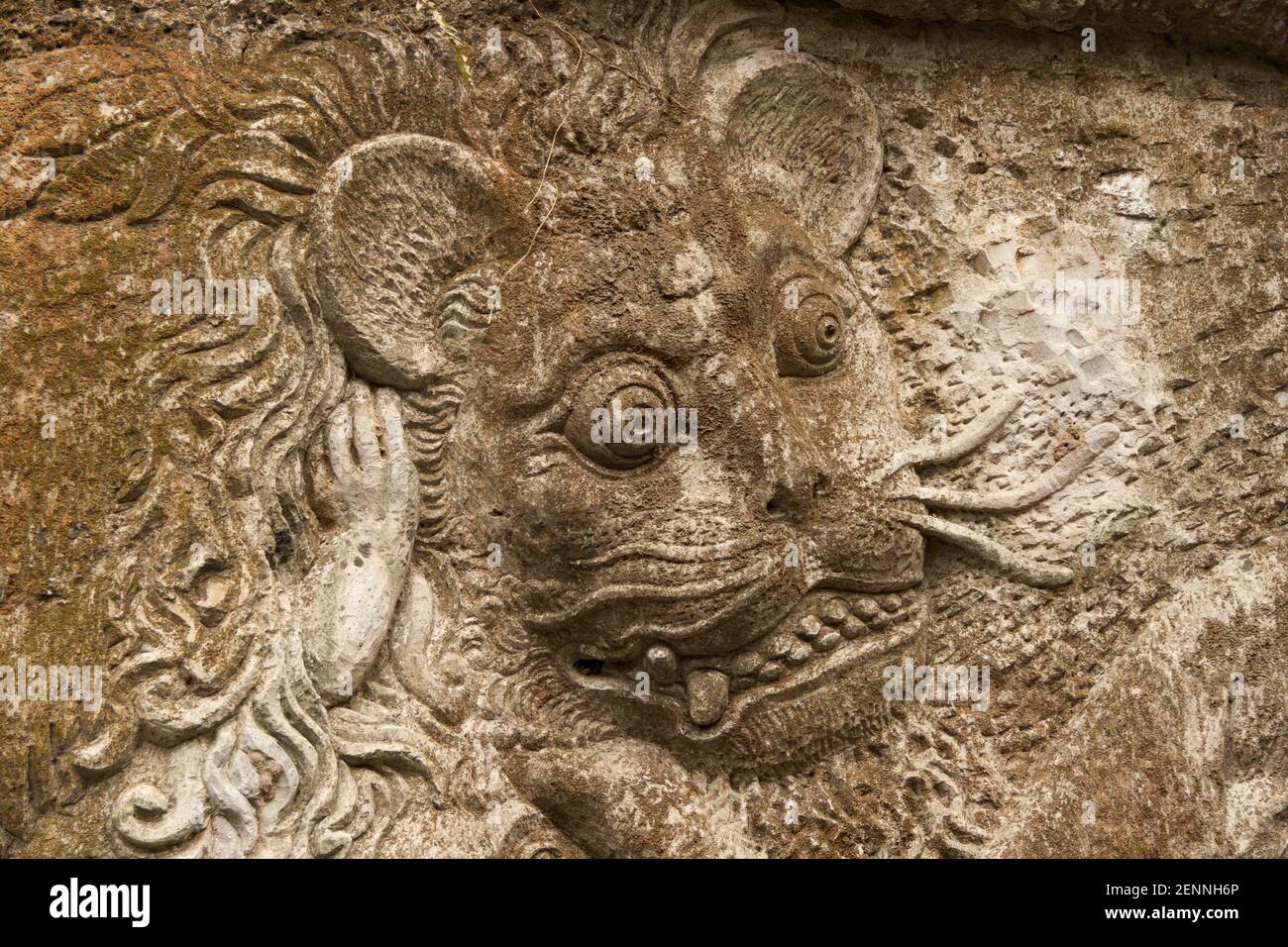 Monkey teeth hi-res stock photography and images - Alamy