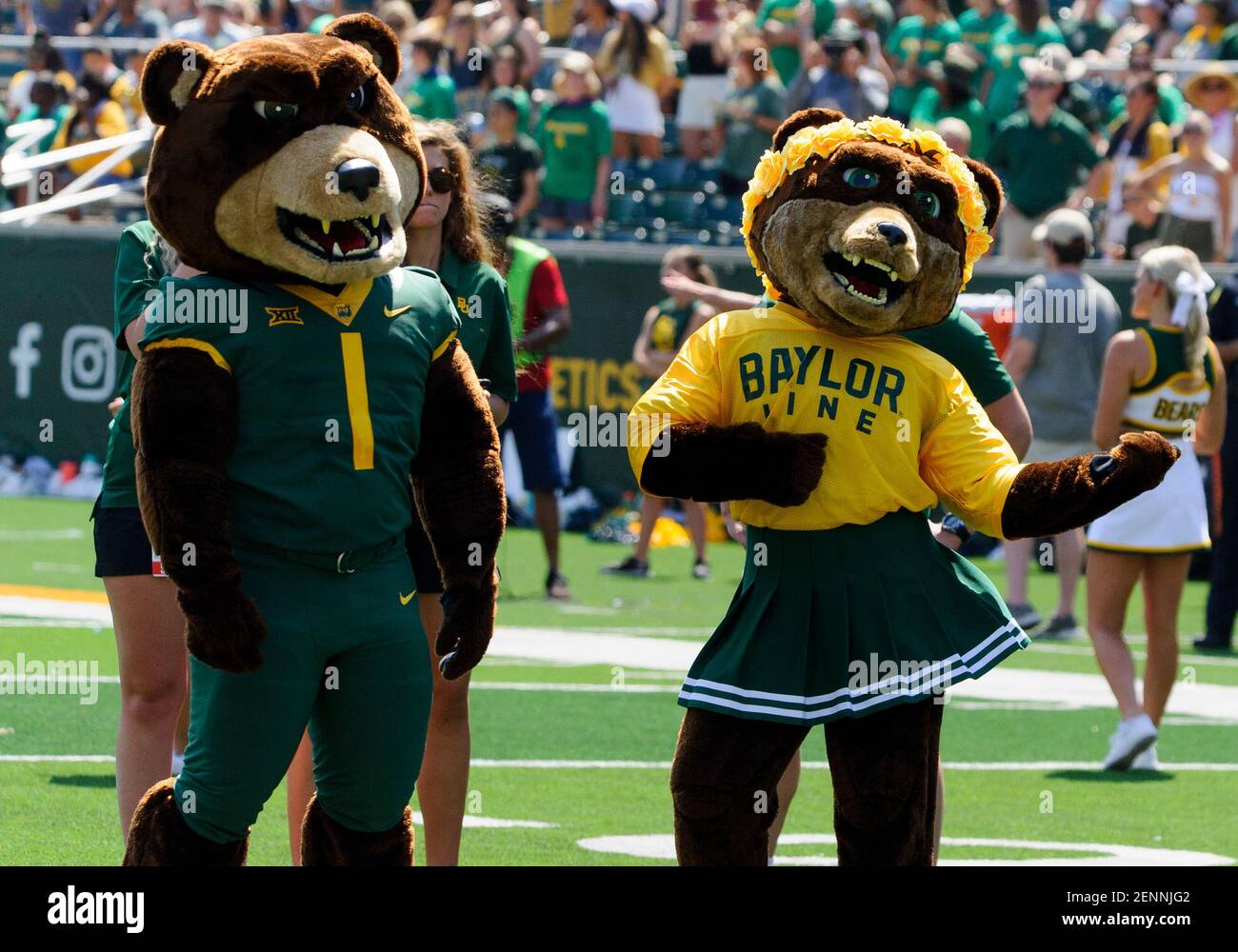 September 7 2019: Baylor Bears mascots dance to a song before the NCAA ...