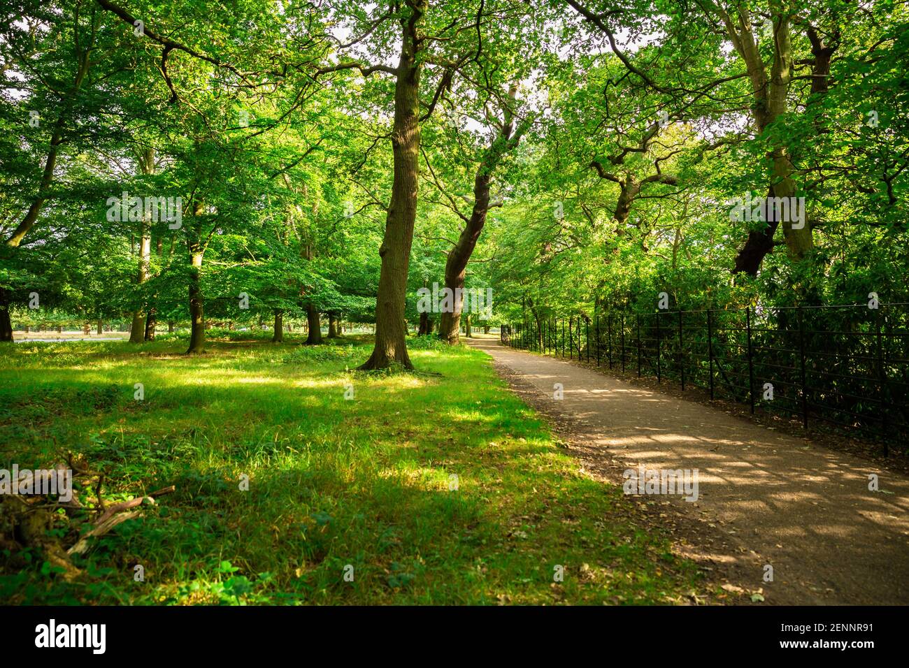 The path in Richmond park, London, UK Stock Photo - Alamy