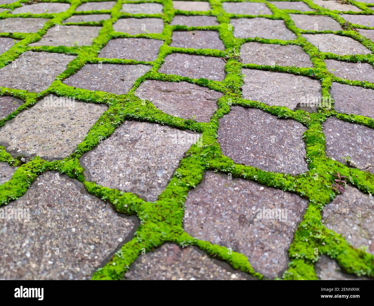 Italian stone pavement pattern hi-res stock photography and images - Alamy