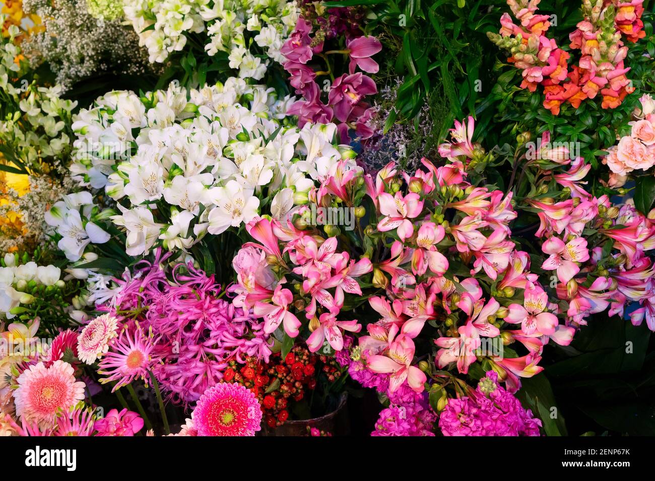Natural flower background Stock Photo - Alamy