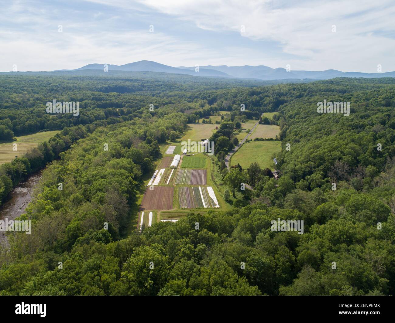 Aerial view of a farm nestled amongst the trees Stock Photo - Alamy Aerial view of a farm nestled amongst the trees Stock Photo - Alamy