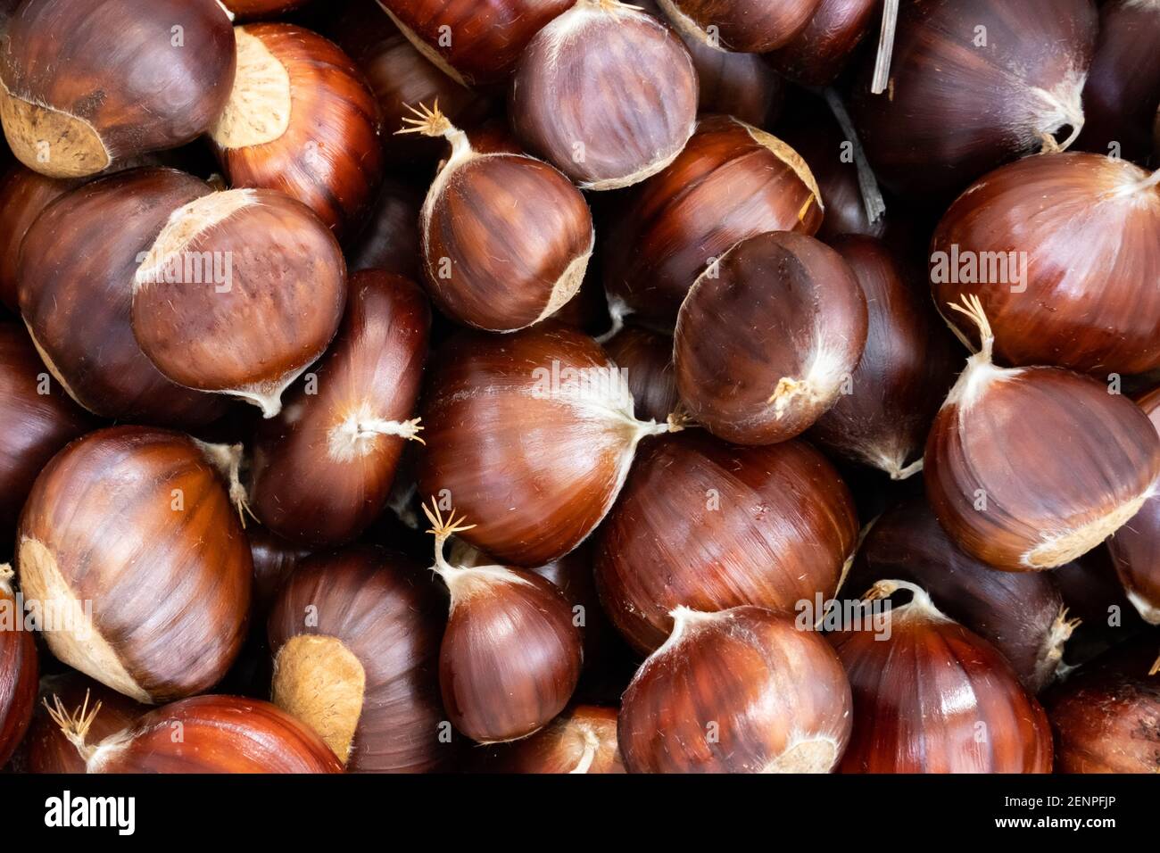 Skin colours concept hi-res stock photography and images - Alamy