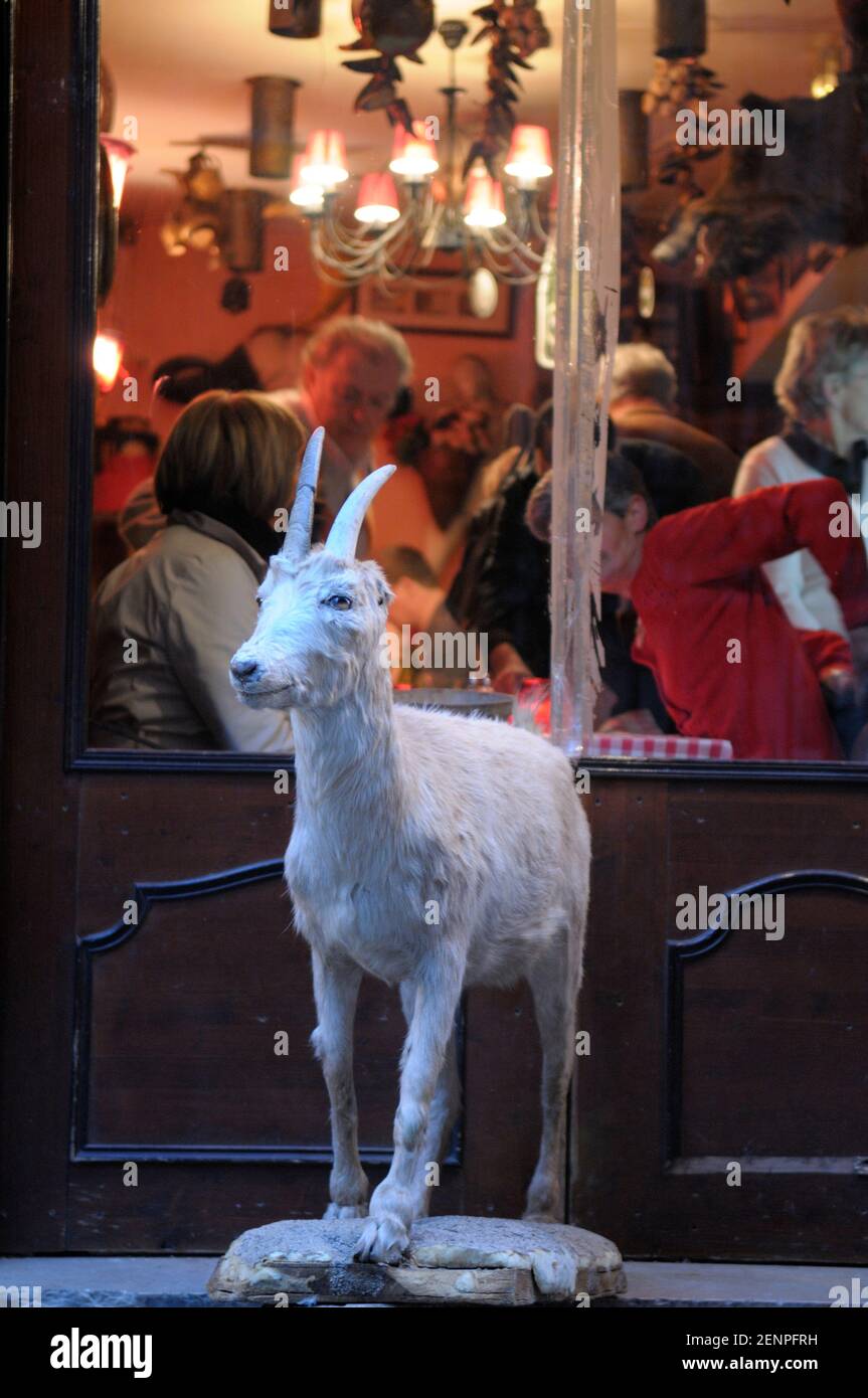 Stuffed goat hi-res stock photography and images - Alamy