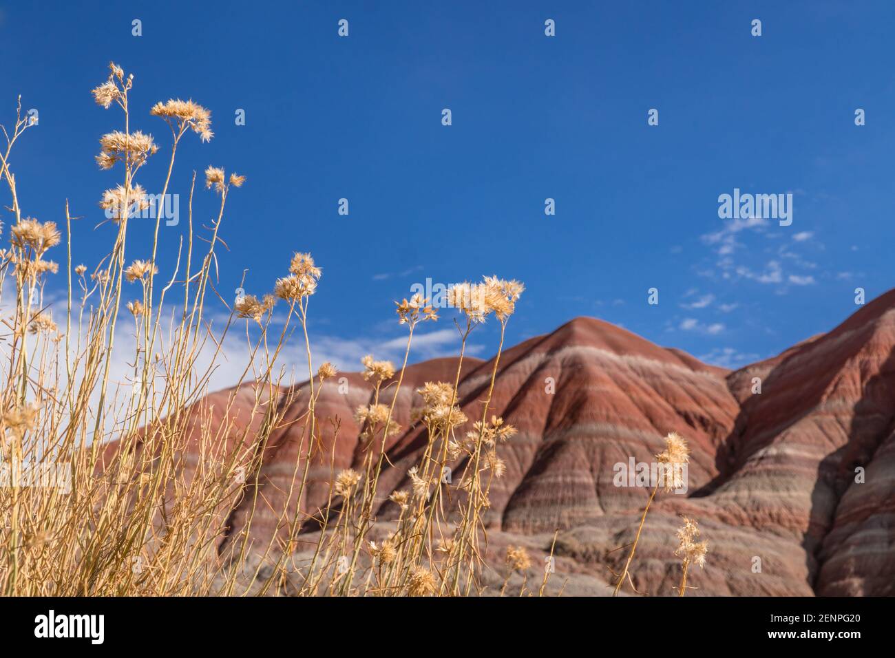 View of multi-colored/painted cliffs/mountains in Utah desert in ...