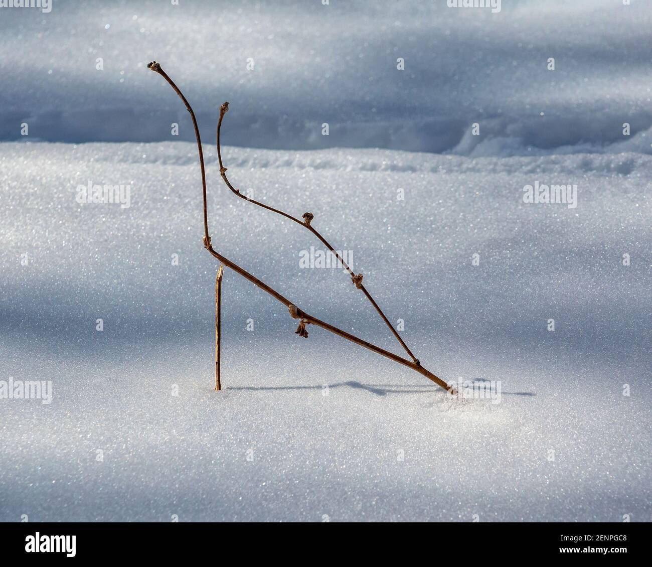 Composition of sticks and the perfect merging of their shadows on the ...