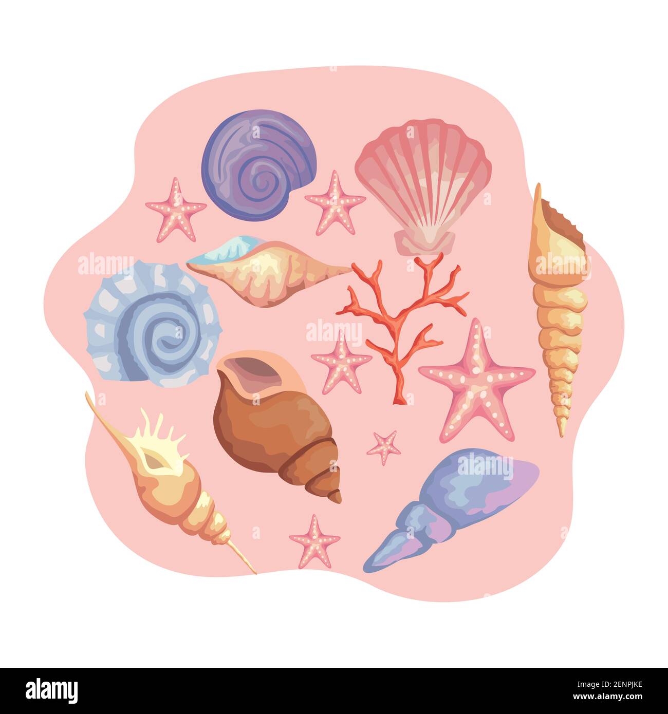 Mollusks sea shells mollusks Stock Vector Images - Alamy