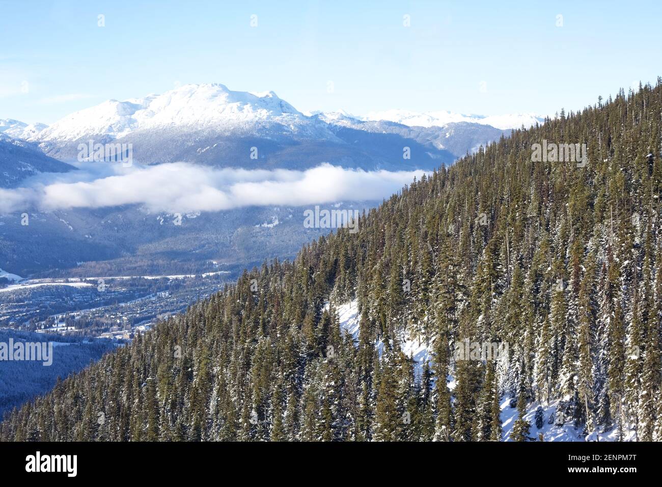 Aerial trees and mountains, British Columbia, Canada Stock Photo - Alamy