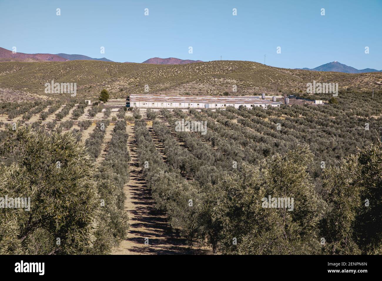 Food and agriculture hi-res stock photography and images - Alamy