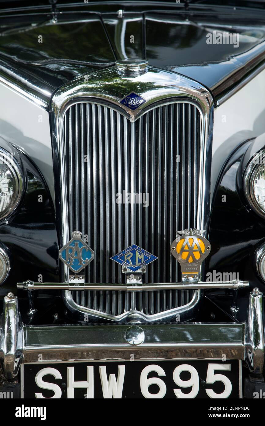 1954 Riley RME classic British saloon car Stock Photo - Alamy