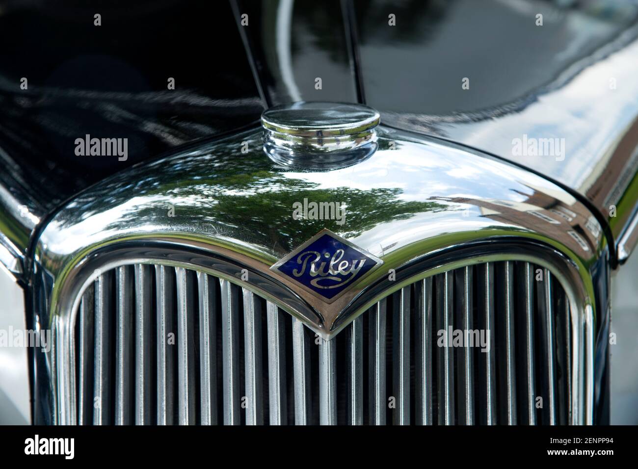 Riley logo badge classic car hi-res stock photography and images - Alamy