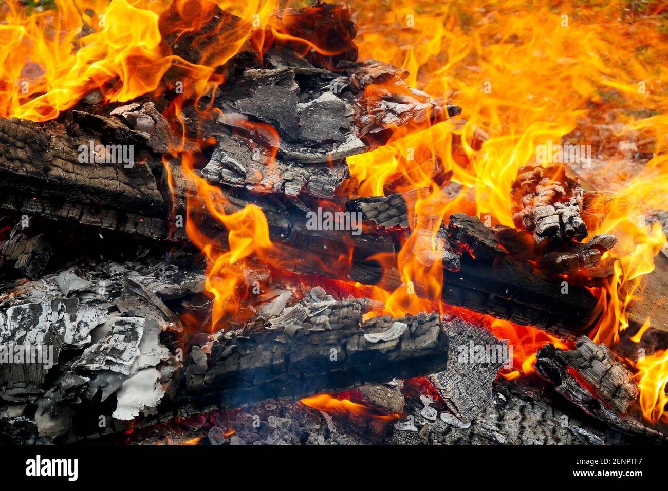 Burning wood, close-up view, France Stock Photo - Alamy