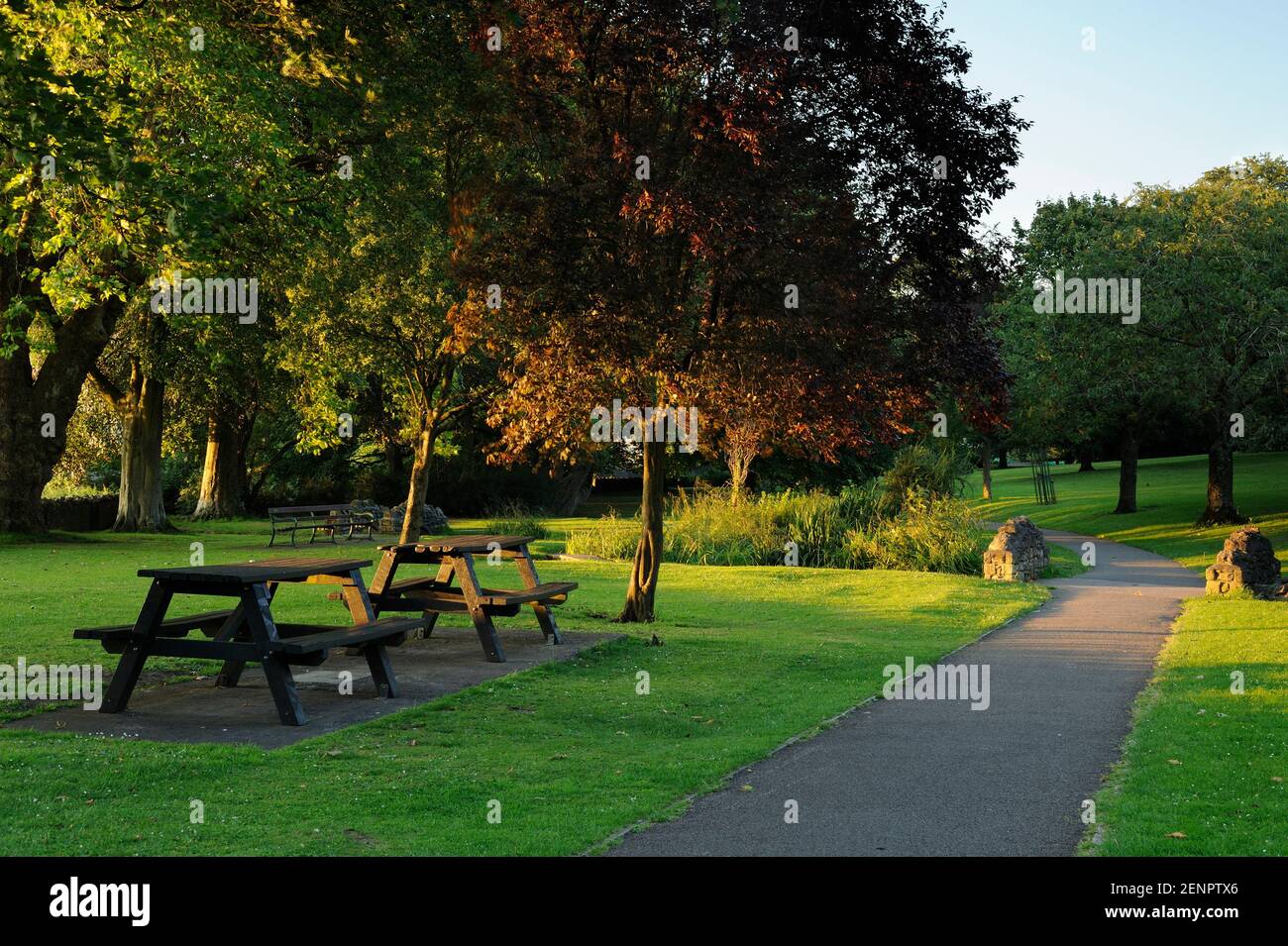 Collett Park High Resolution Stock Photography and Images - Alamy