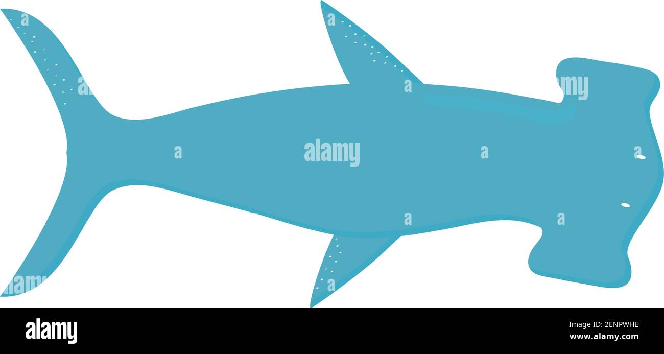 Hammerhead shark isolated on white Cut Out Stock Images & Pictures - Alamy