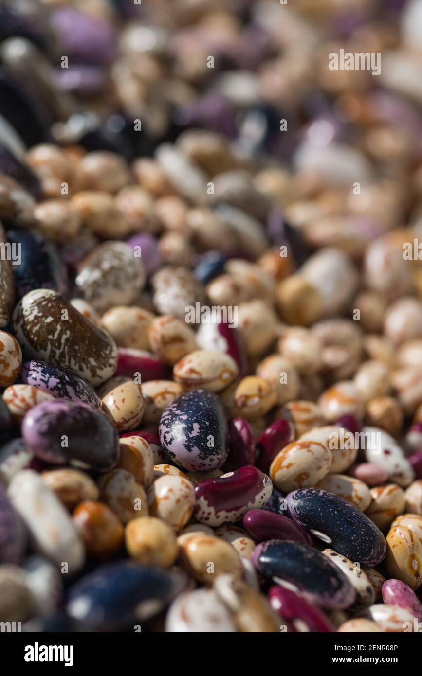 Bean seeds texture hi-res stock photography and images - Alamy