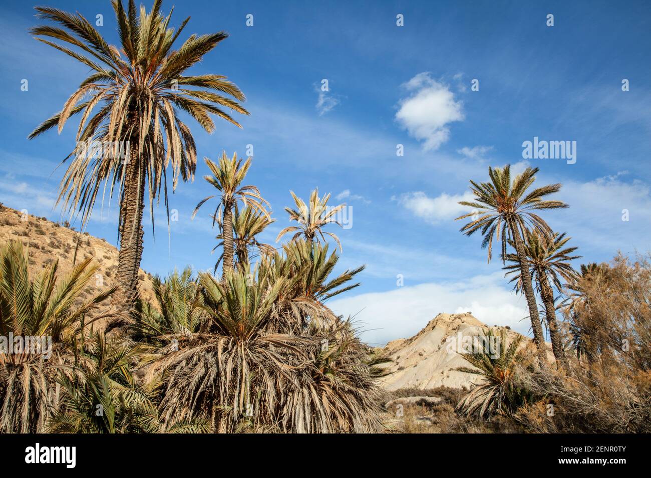 Hills landscape of the Tabernas desert Almeria Spain Nature Adventure ...