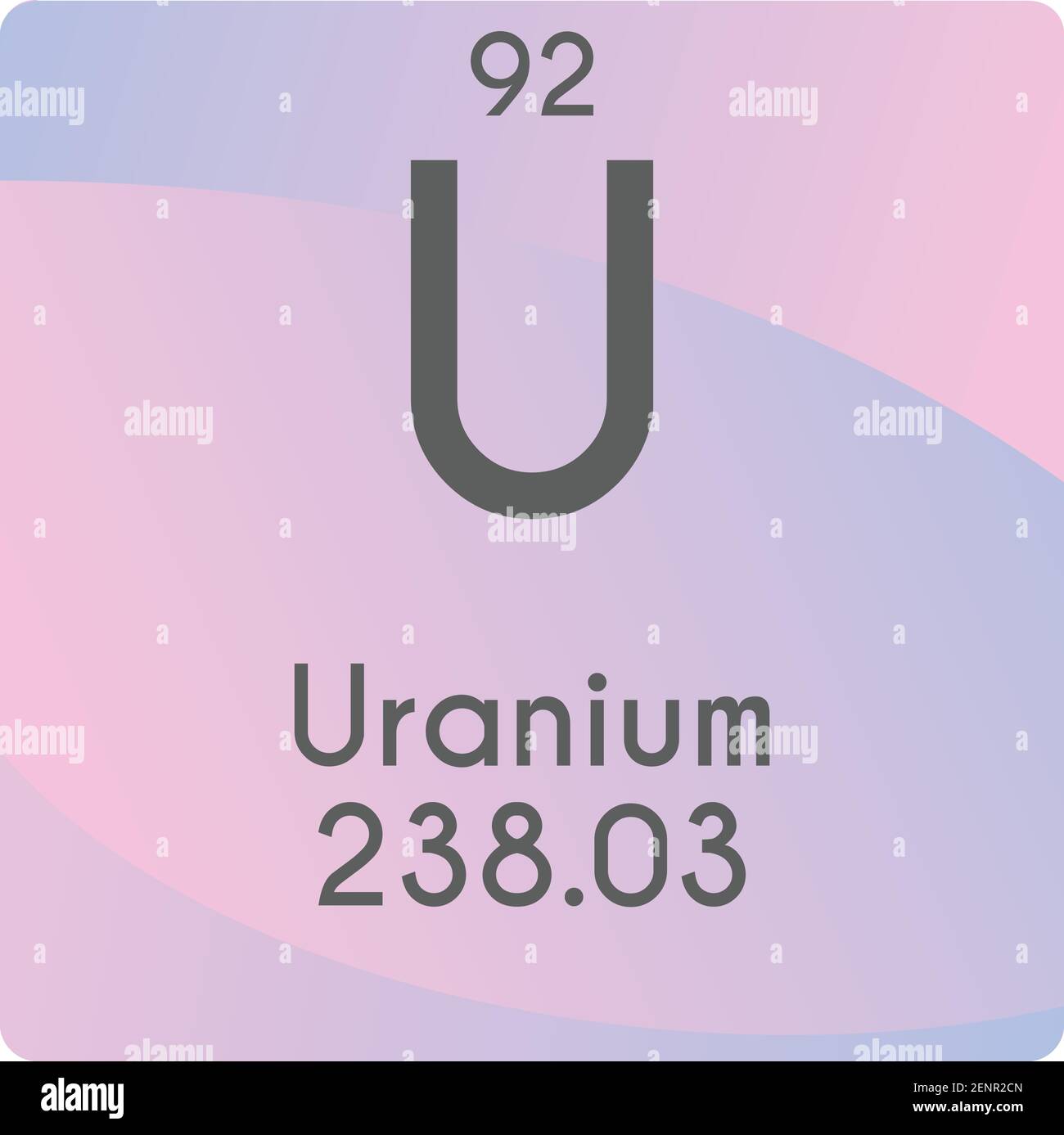 U Uranium Actinoid Chemical Element vector illustration diagram, with atomic number and mass ...