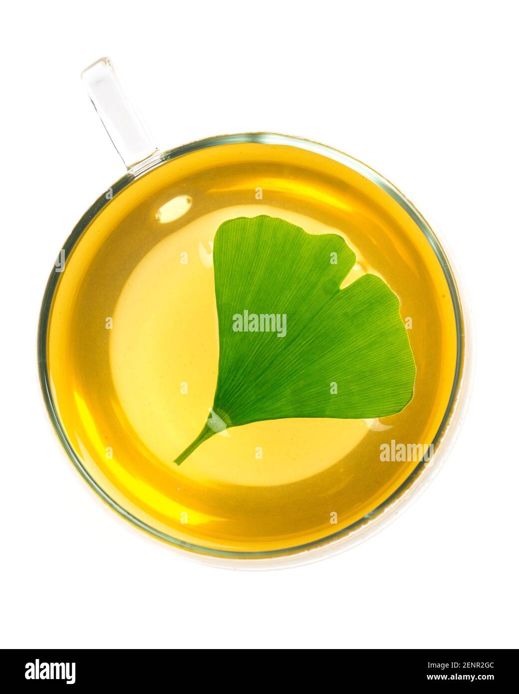 hot ginkgo tea (Ginkgo biloba) isolated on white background - top view ...