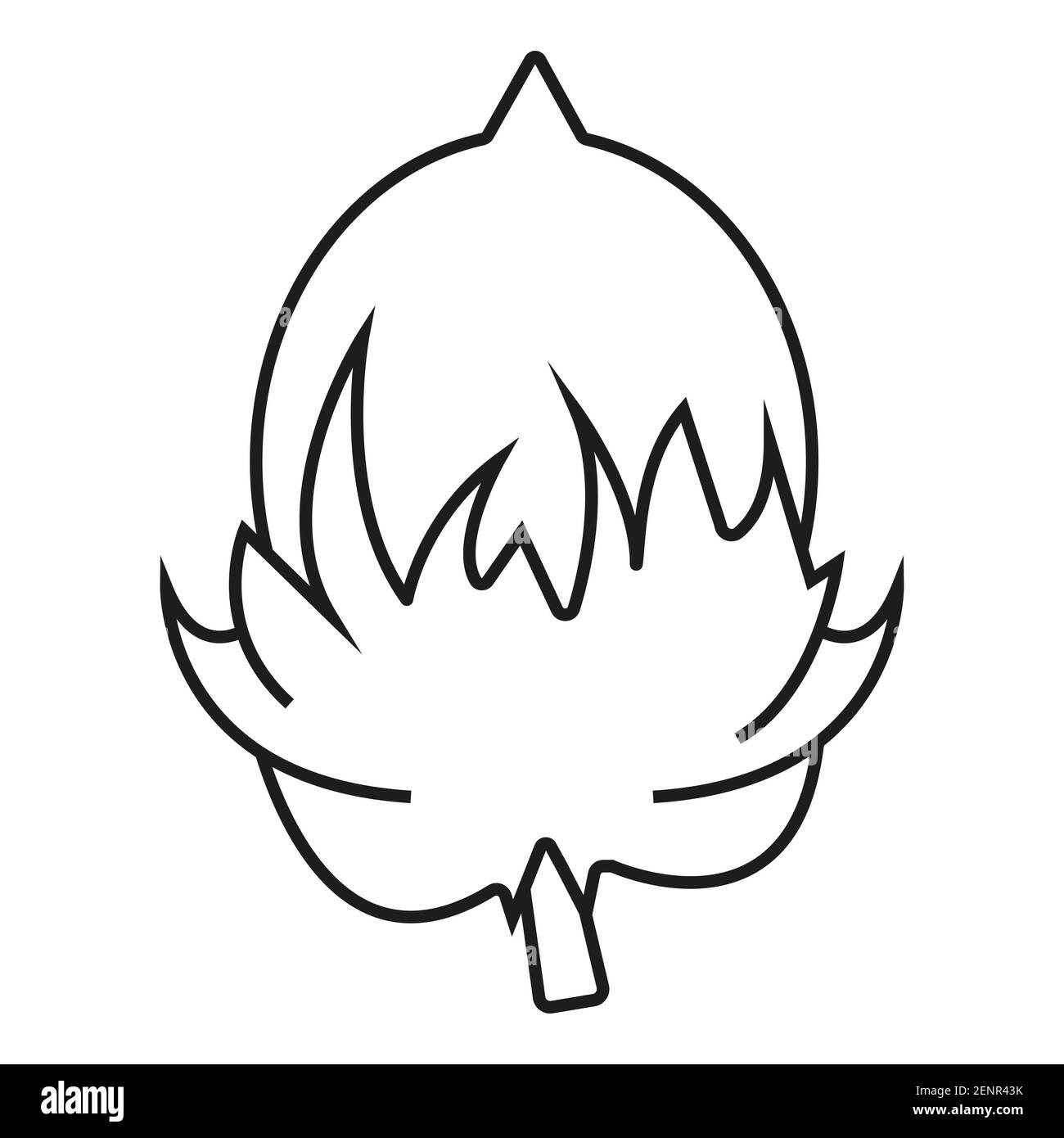 Cotton Boll Drawing
