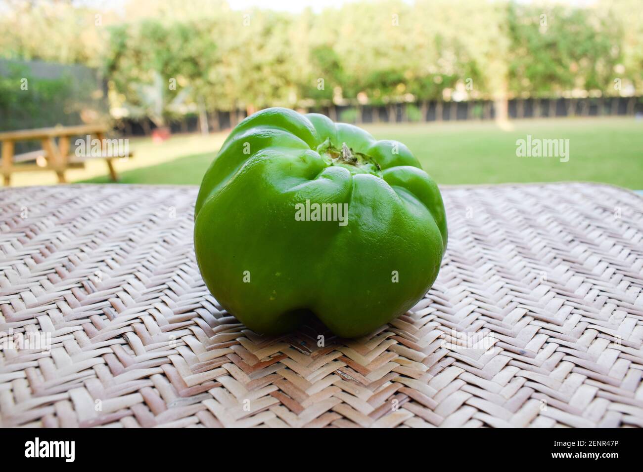 Side view of Green capsicum or green bellpepper on white background ...