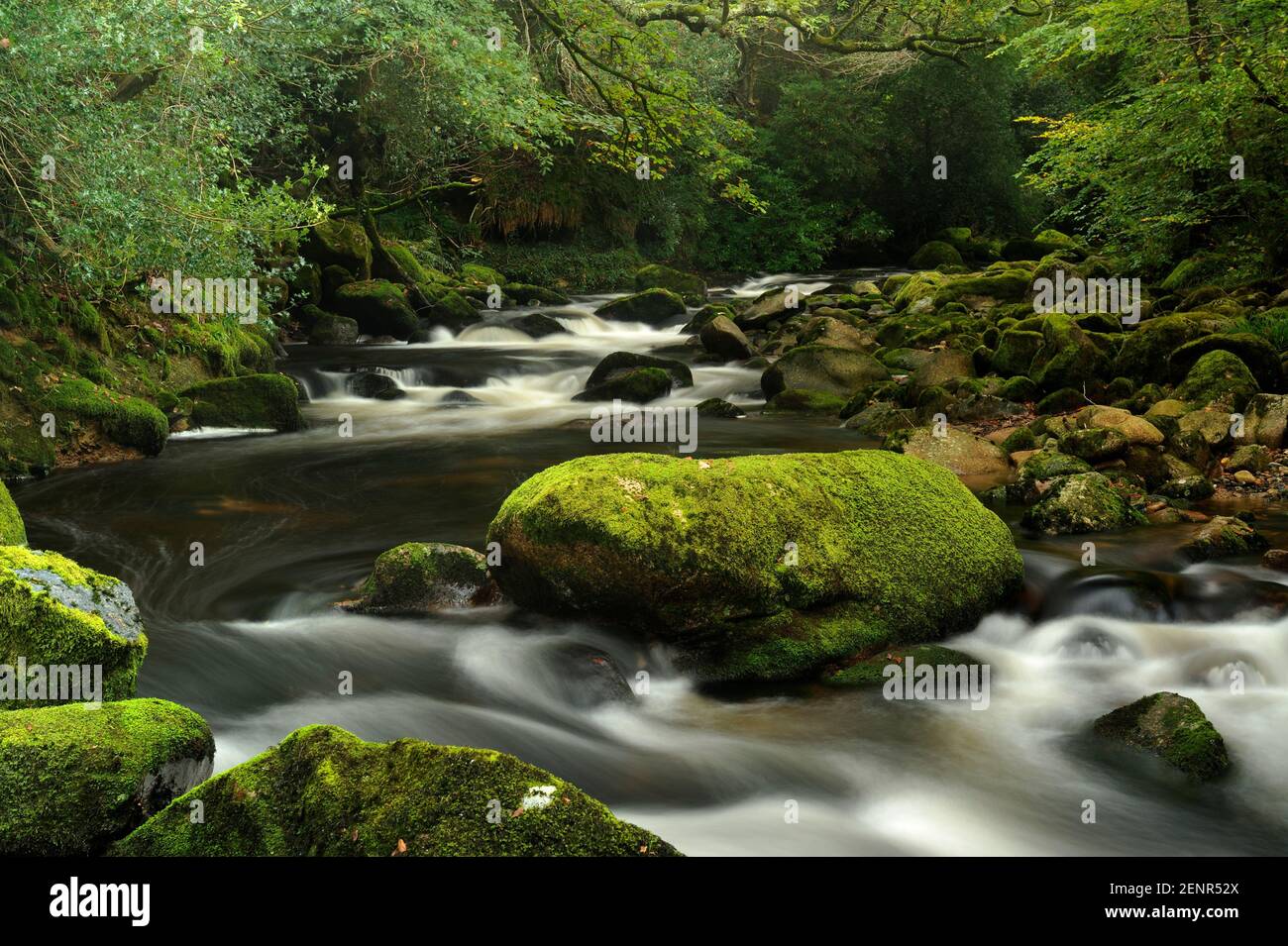 The dewerstone, dartmoor national park hi-res stock photography and ...