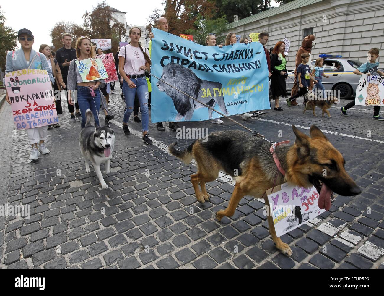 Participants with their pets during the march. 'All-Ukrainian March For ...
