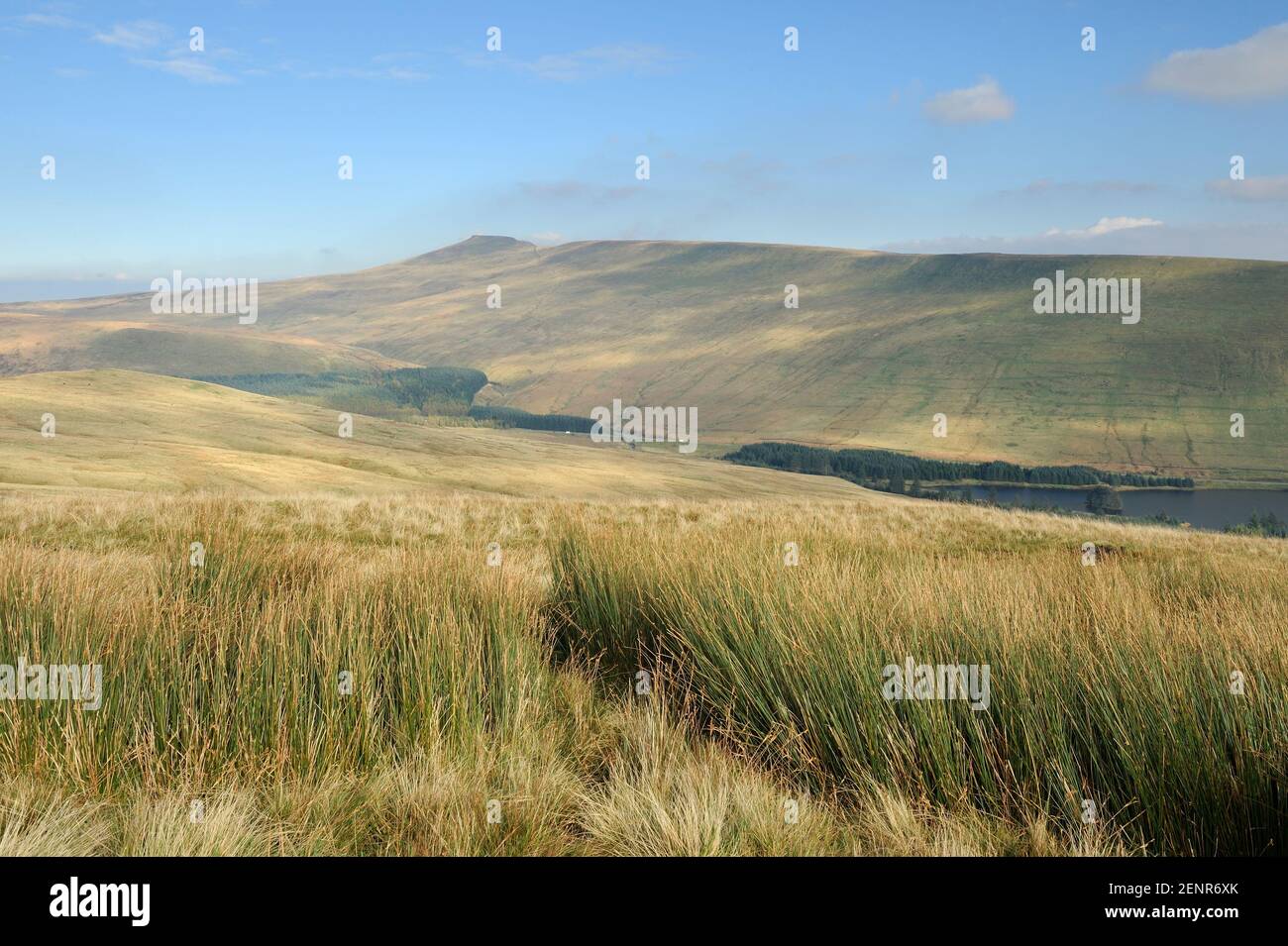 View from Fan Fawr towards Corn Du in the Brecon Beacons, Wales, UK ...