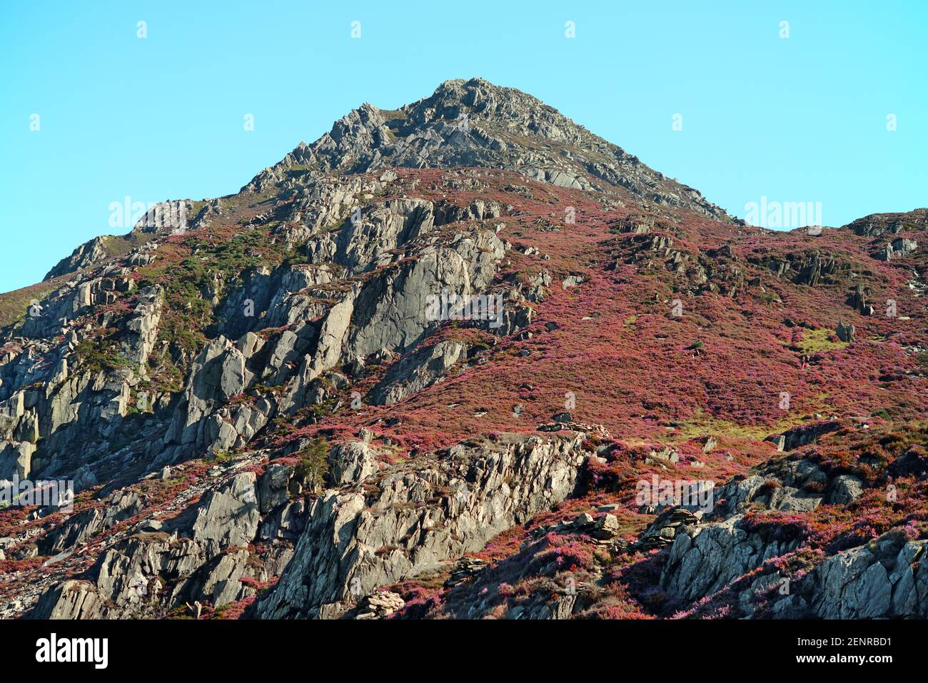Pen yr Ole Wen, the seventh highest mountain in Snowdonia and in Wales ...