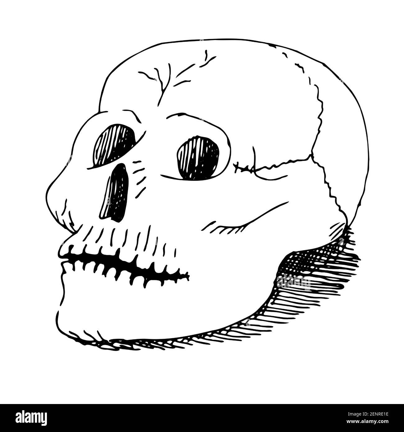Skull etching Black and White Stock Photos & Images - Alamy
