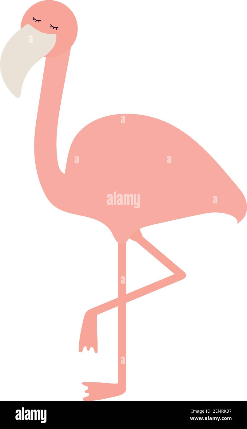 Flemish cartoon hi-res stock photography and images - Alamy