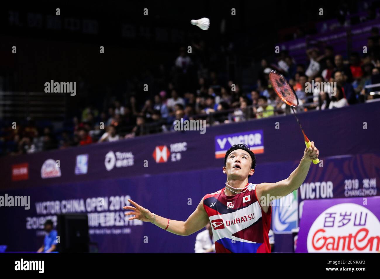 Japanese professional badminton player Kento Momota competes against ...