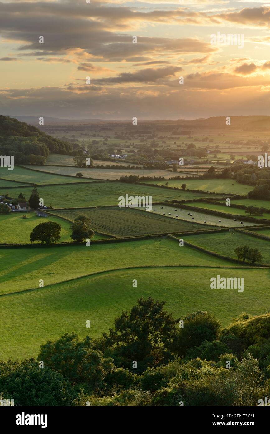 Countryside near the village of Compton Dundon, Somerset, UK Stock ...